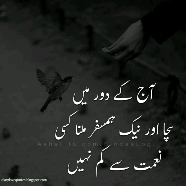 40+ Bindas Log fb Poetry Images, Quotes and Beautiful Though - Check ...