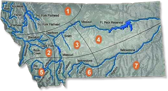 Montana Trout Fishing Map