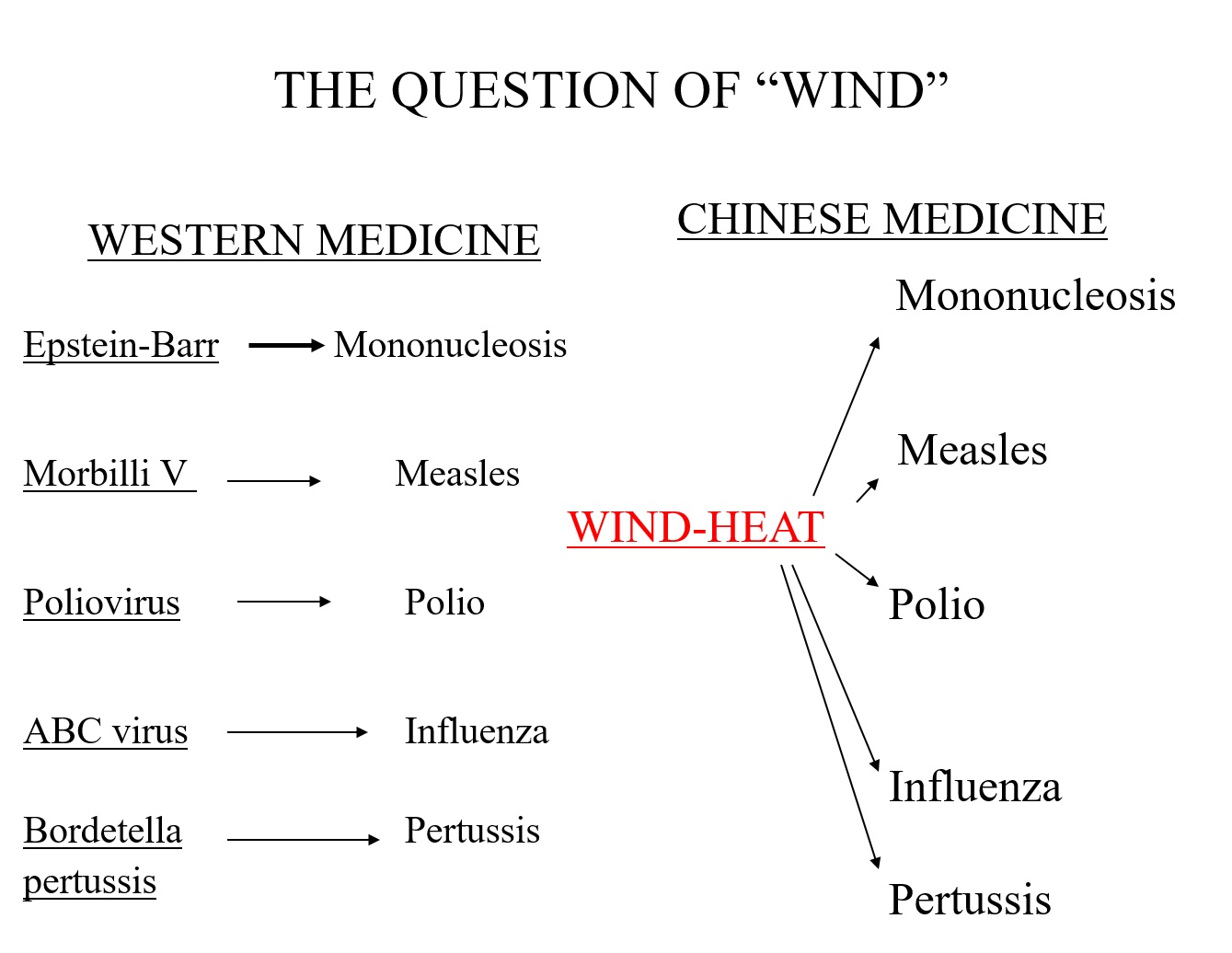 Maciocia Online: THE TREATMENT OF INFLUENZA WITH CHINESE MEDICINE