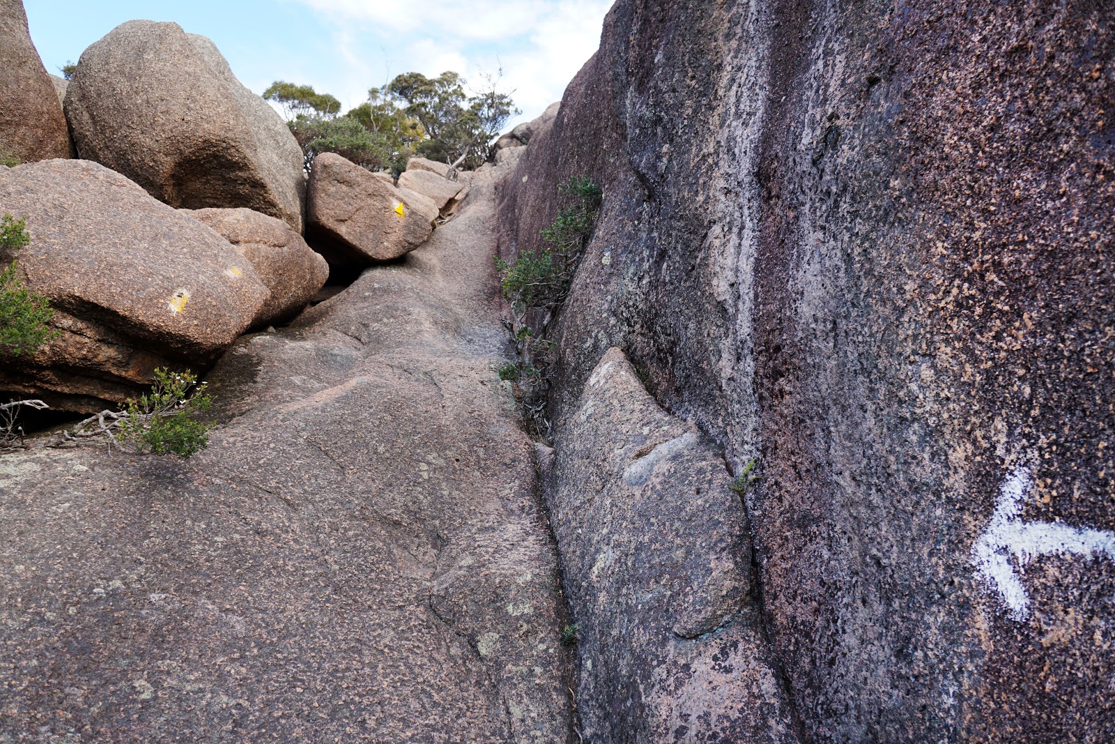 Mt Amos Track (Freycinet National Park) ~ The Long Way's Better