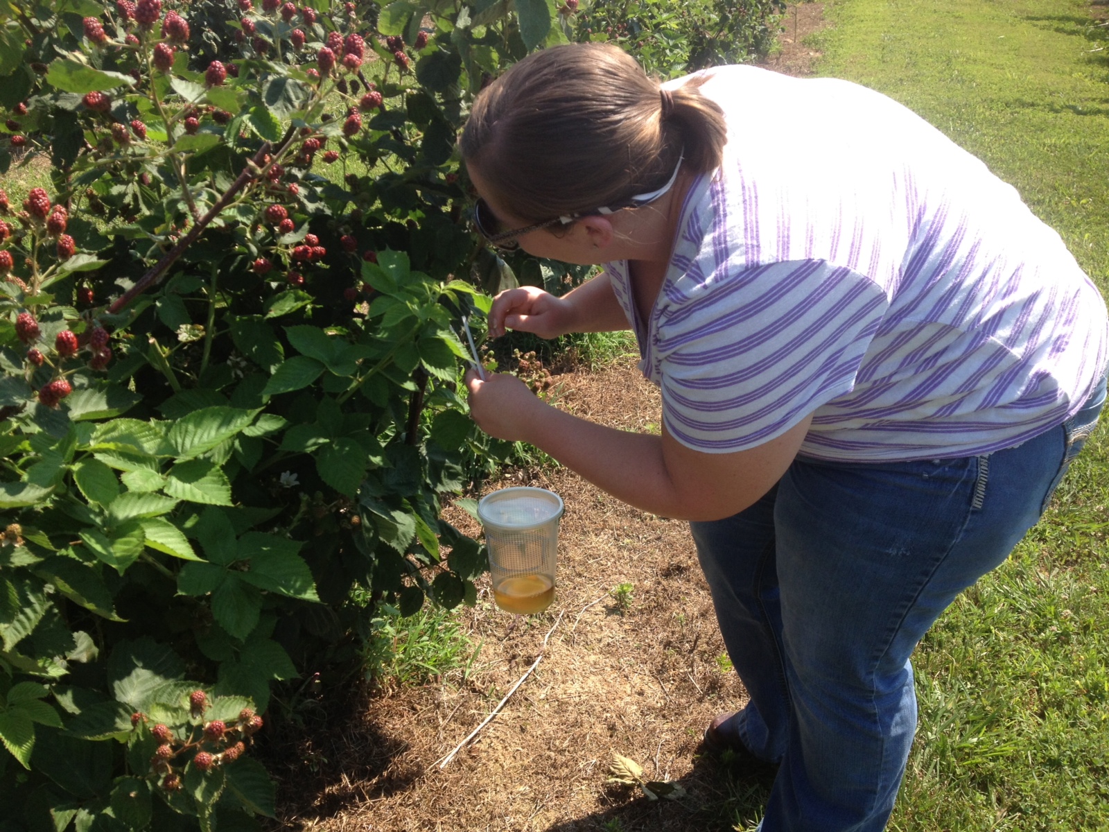 Inside Extension: Extension Interns: An Extension Agent Wears Many Hats!