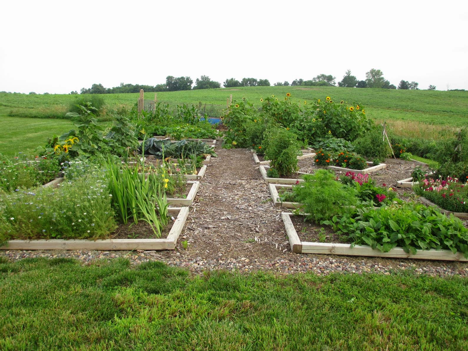 Garden Fancy: A New Google Earth Aerial Photo!