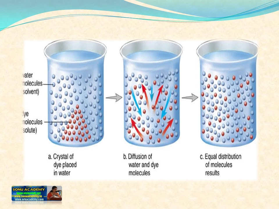 SONU ACADEMY: DIFFUSION-TEXT