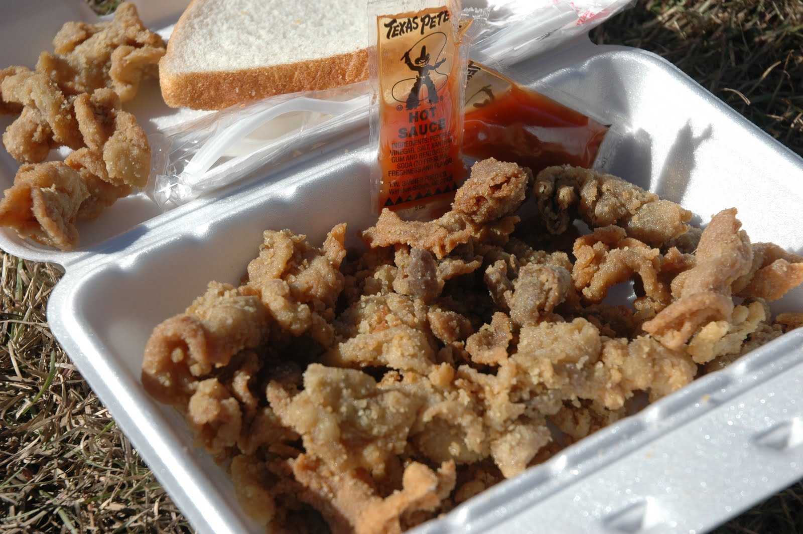 Spiral Bound Notebook: Chasing Chitlins: A Thanksgiving Folk Tale