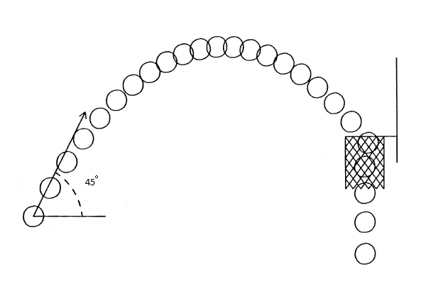 What are the Biomechanical Principles that underpin the Basketball Jump ...