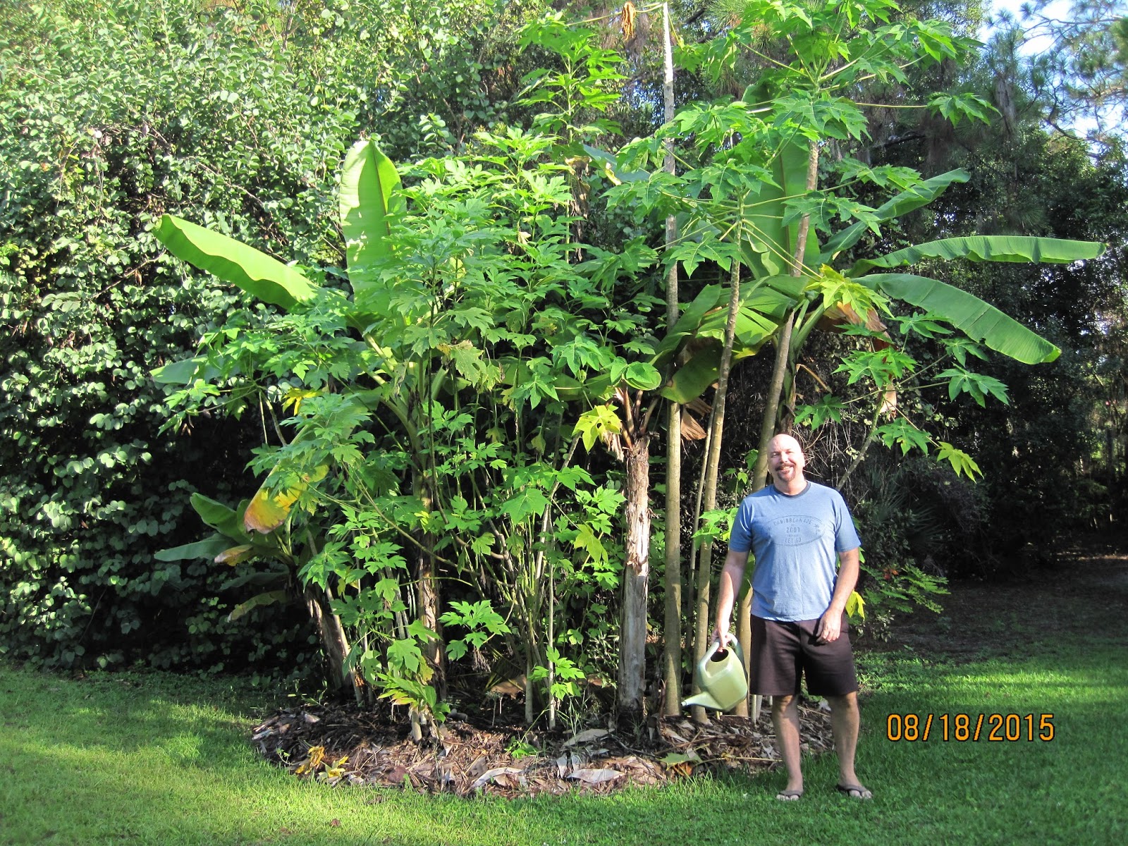 Eco-Affluence: Creating a Banana Circle