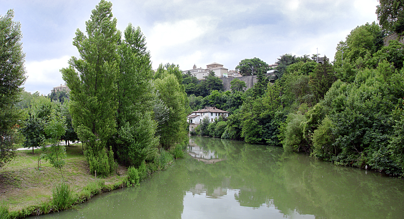 Navarra es más...: El río Arga
