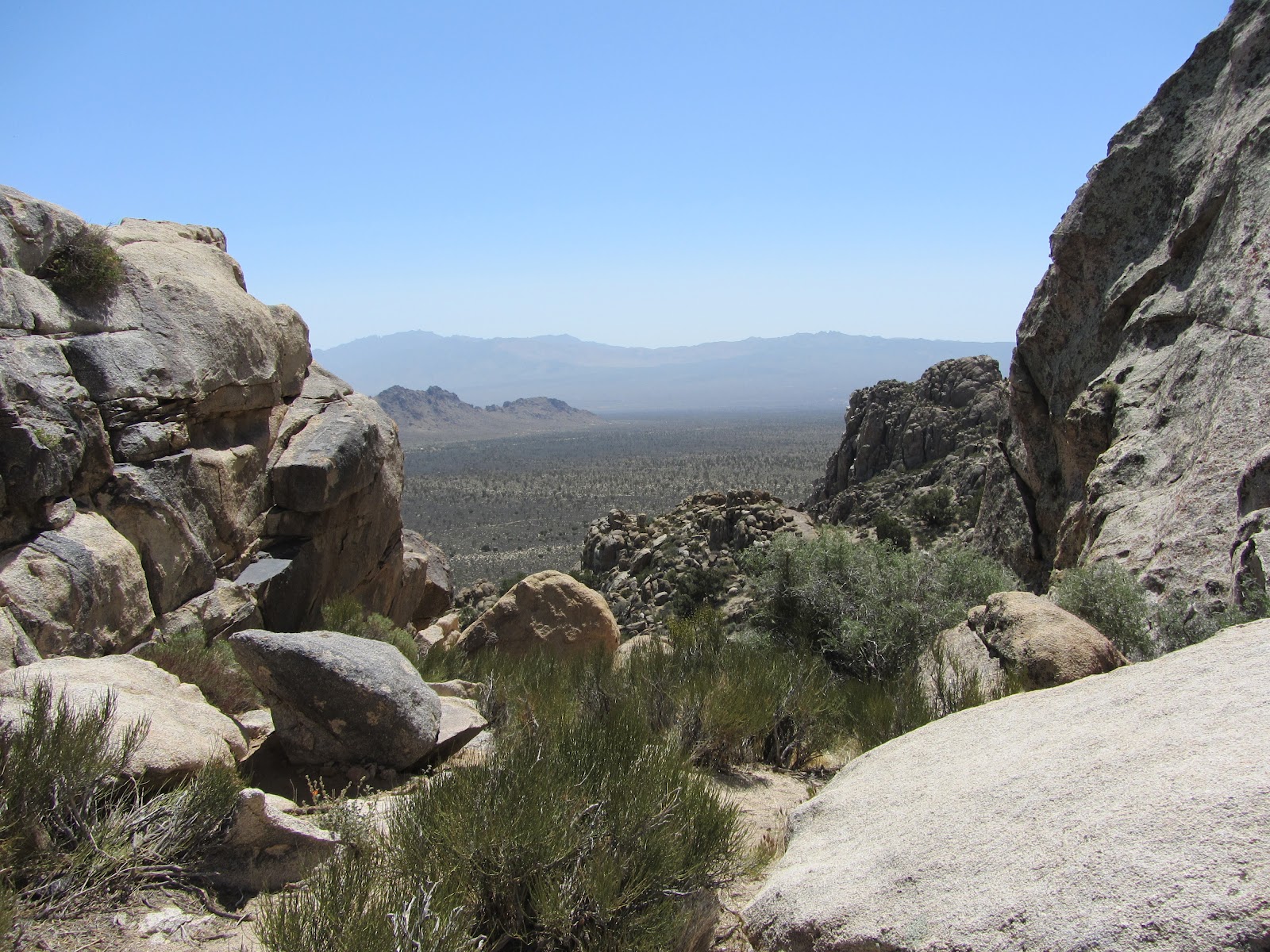 We Be Trekkin: Teutonia Peak Trail- Cima, CA - 3 miles