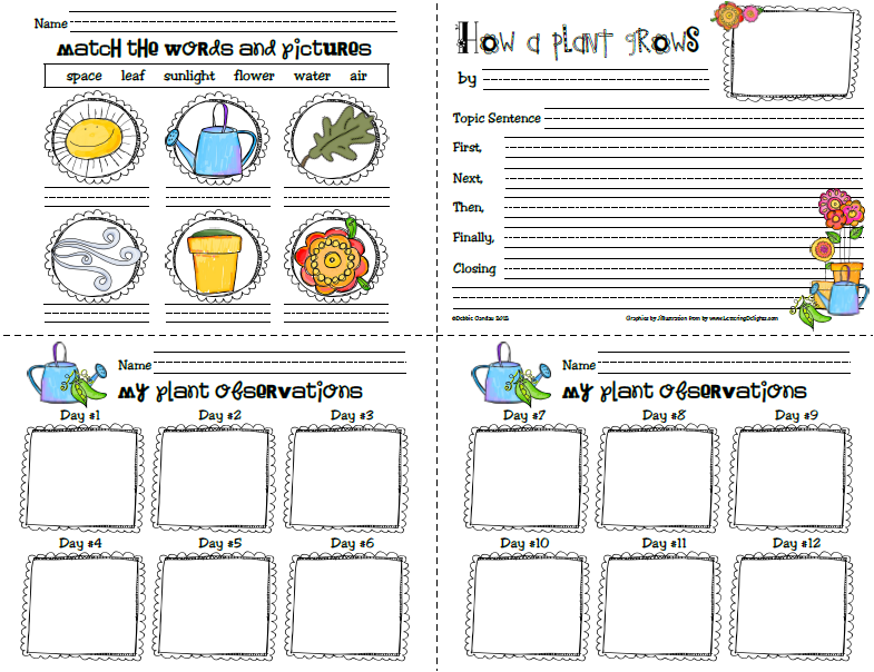 Sailing Through 1st Grade: Plant Observation Log for the Primary Grades
