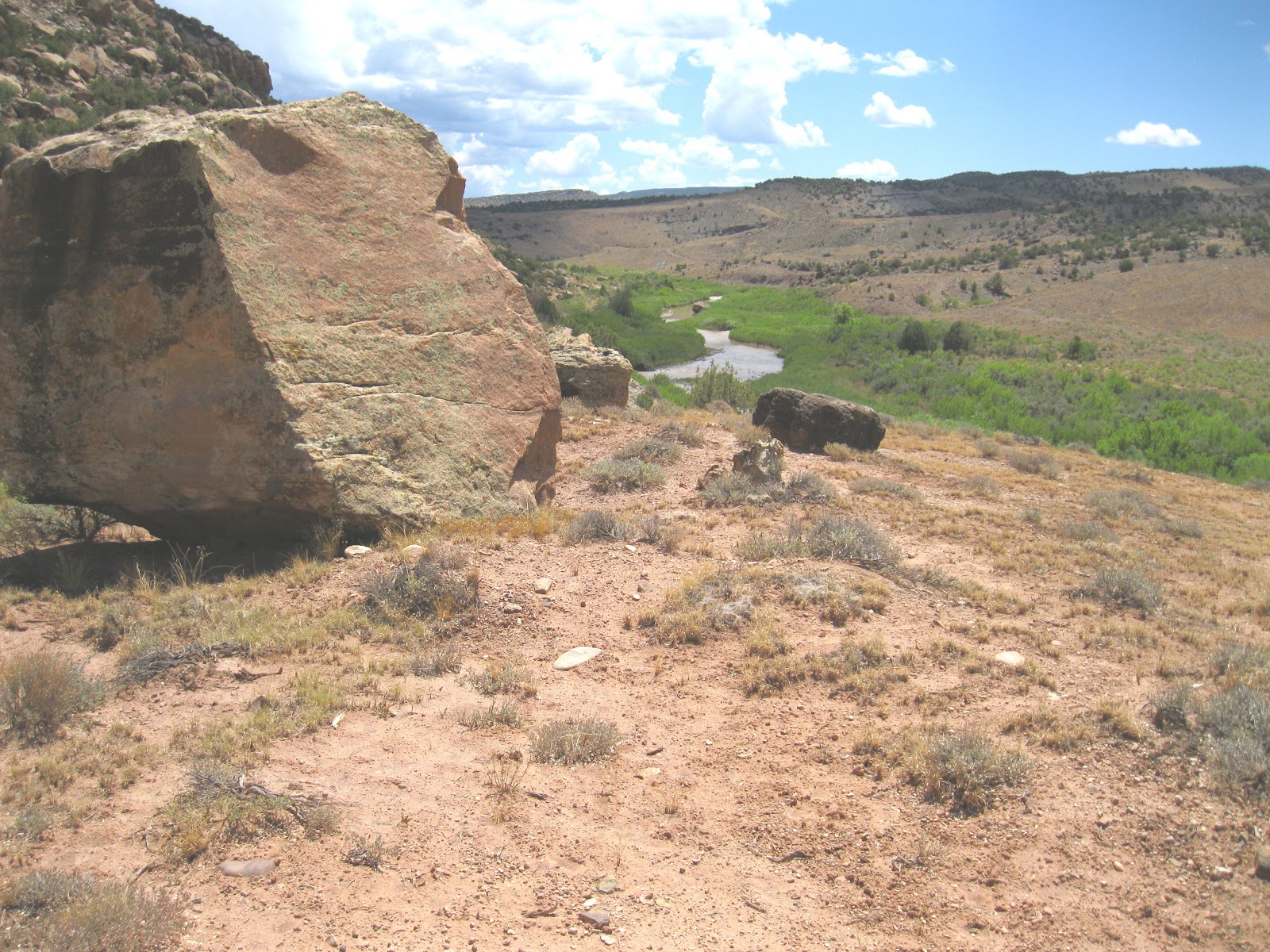 Four Corners Hikes-Dolores River Valley Colorado: Dolores River at ...