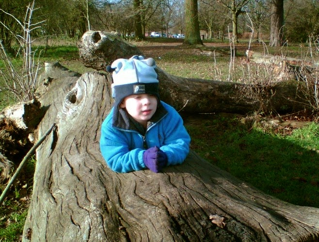 A Green and Rosie Life: How did Tom do? (Part two)