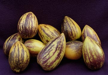 Fruit Warehouse: Melon pear ( Solanum muricatum )