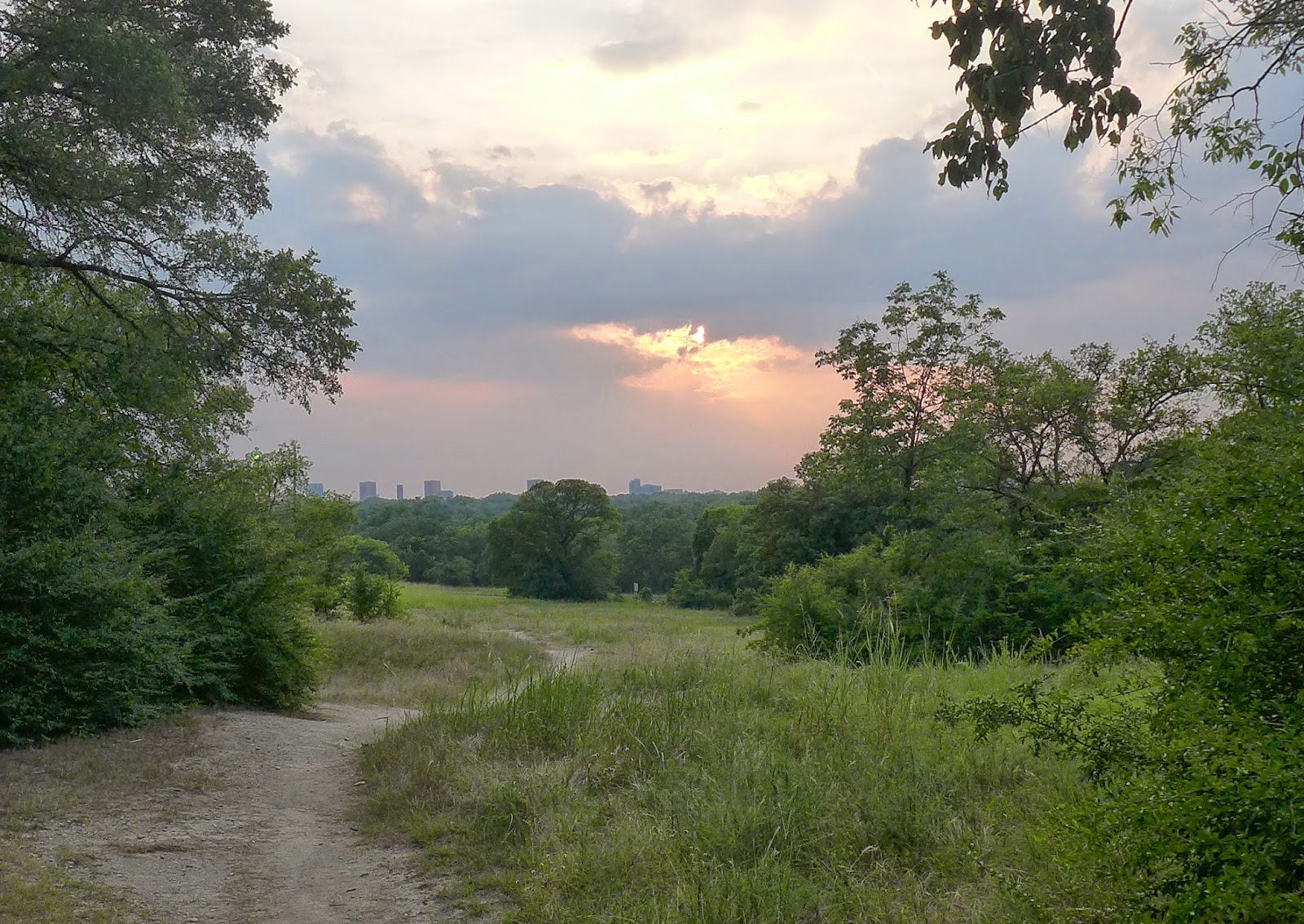 Exploring Dallas Parks