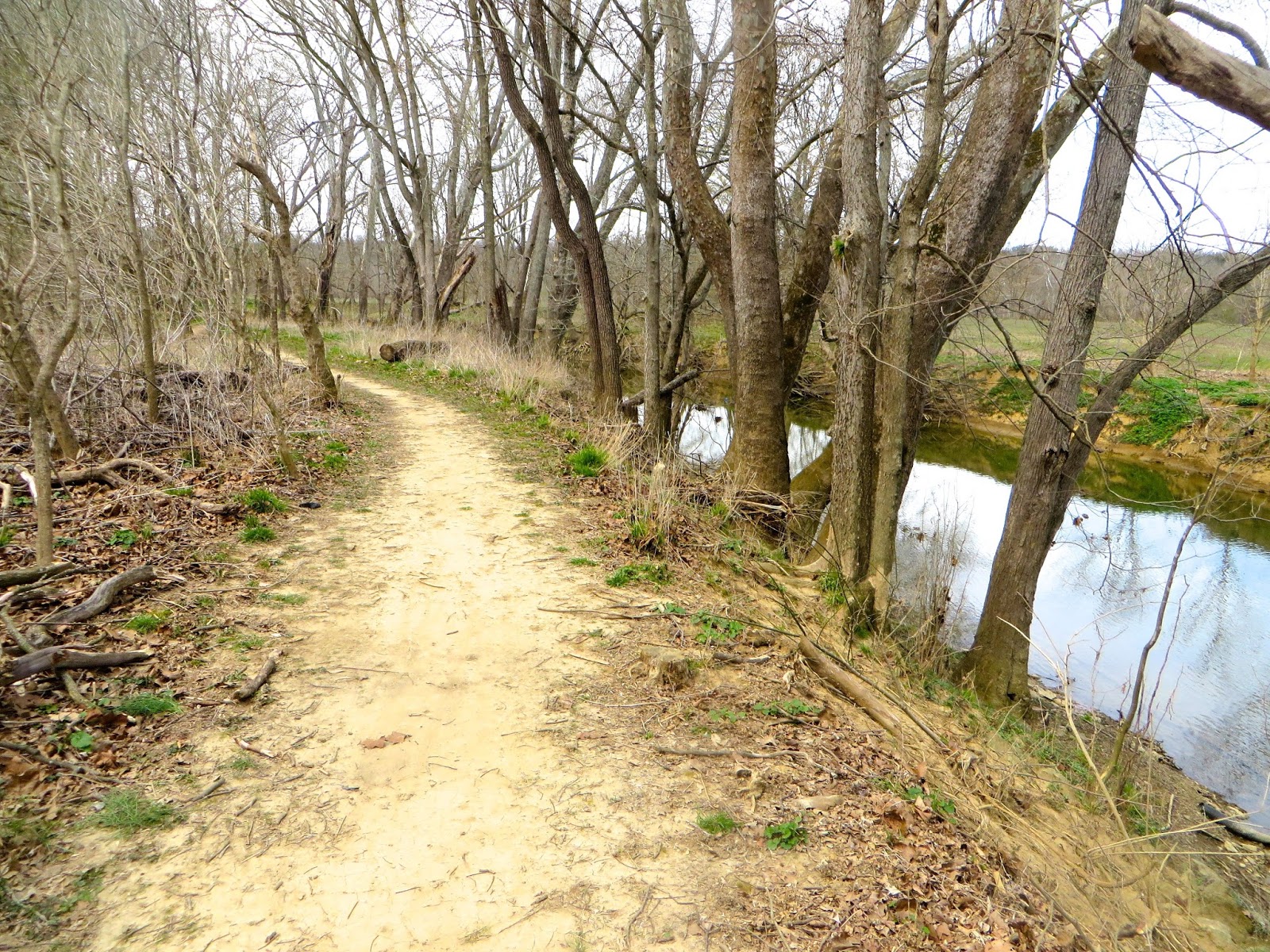 Chuck's Adventures: Biking the Louisville Loop