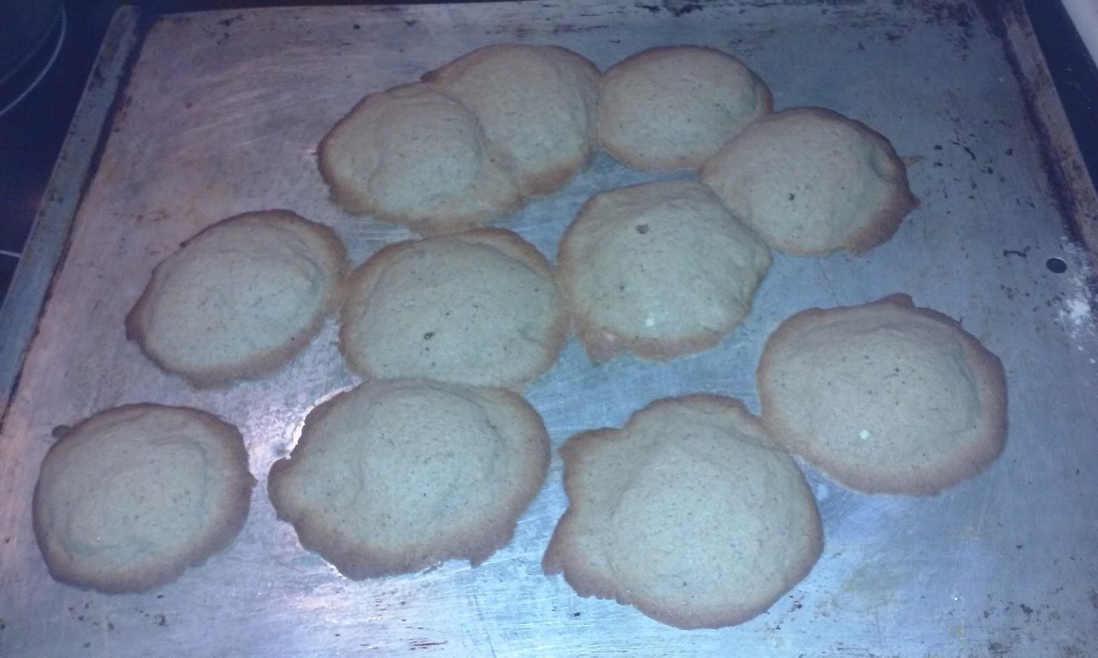 Medieval Cookies from a Modern Oven