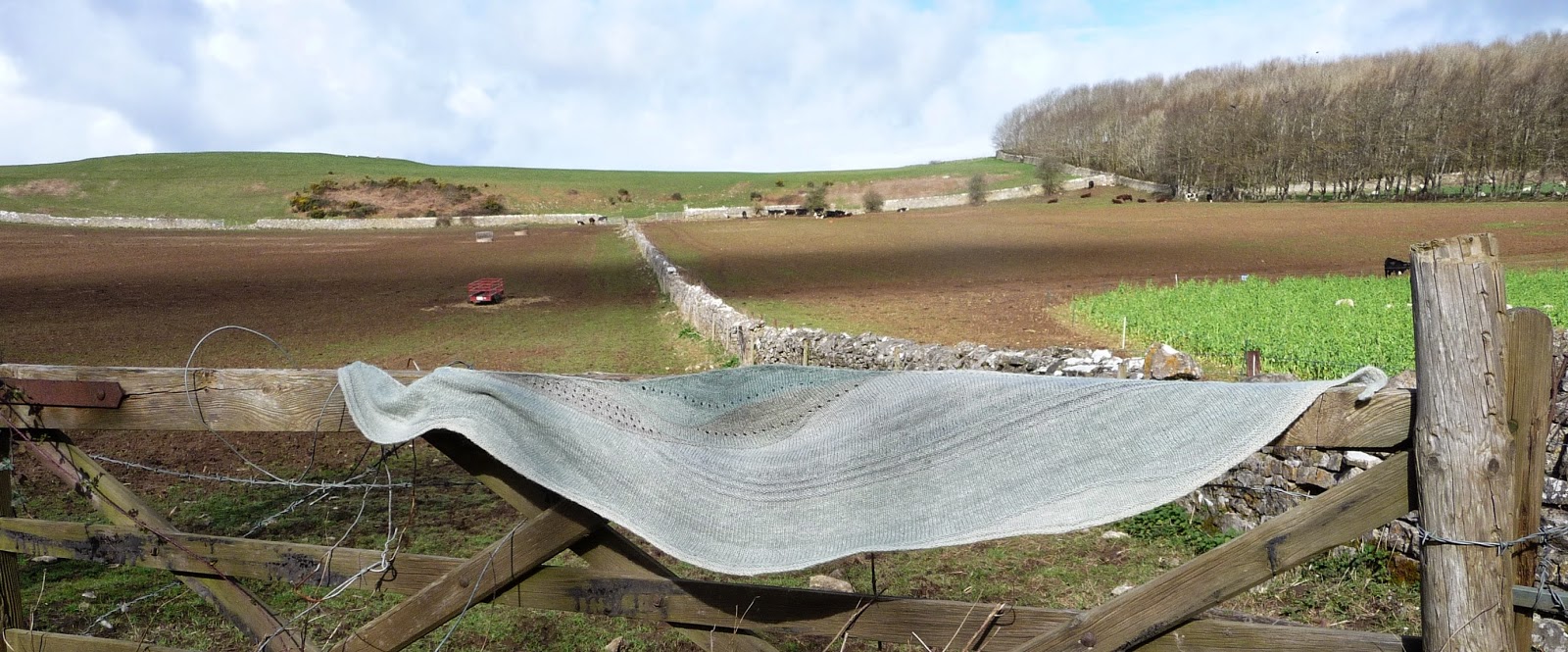 Wool - Tribulations of Hand Spinning and Herbal Dyeing: Dyeing Wool ...