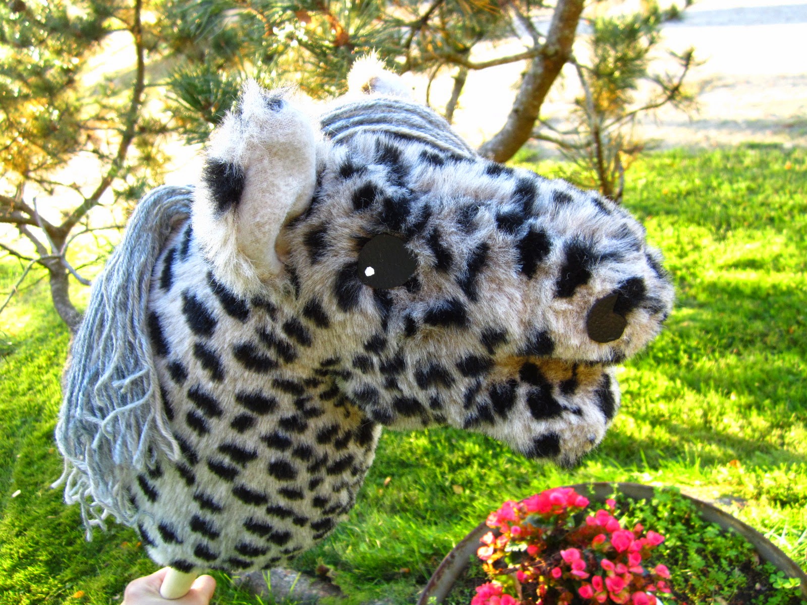 Kht Chiaron elämää: Välityönä Leopardia