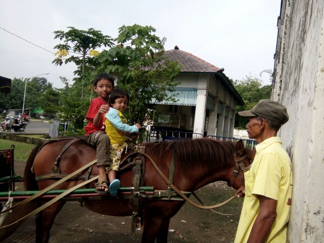 Upaya Tolak Eksploitasi Hewan di Sekitar Kita | dekamuslim