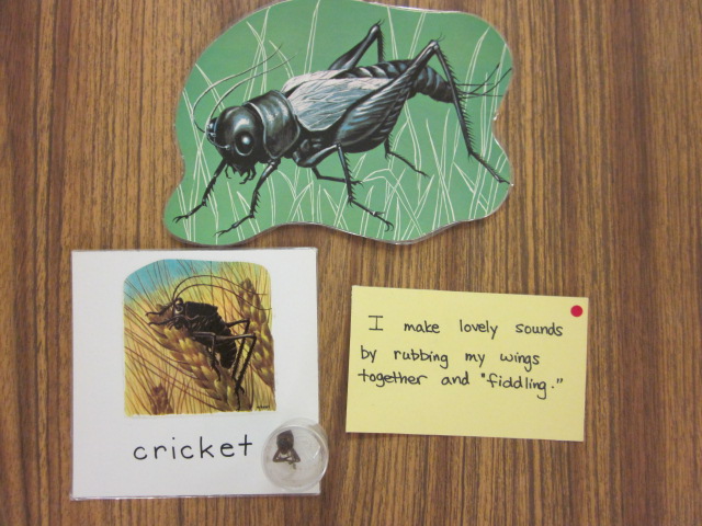 Inspired Montessori, Reggio Loose Parts, and Children's Art : Huge Unit ...