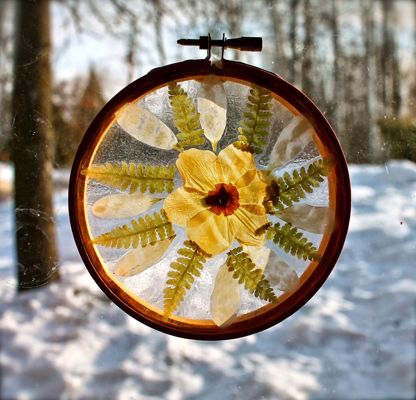 How To Make Pressed Flower Suncatchers at Pam Dameron blog