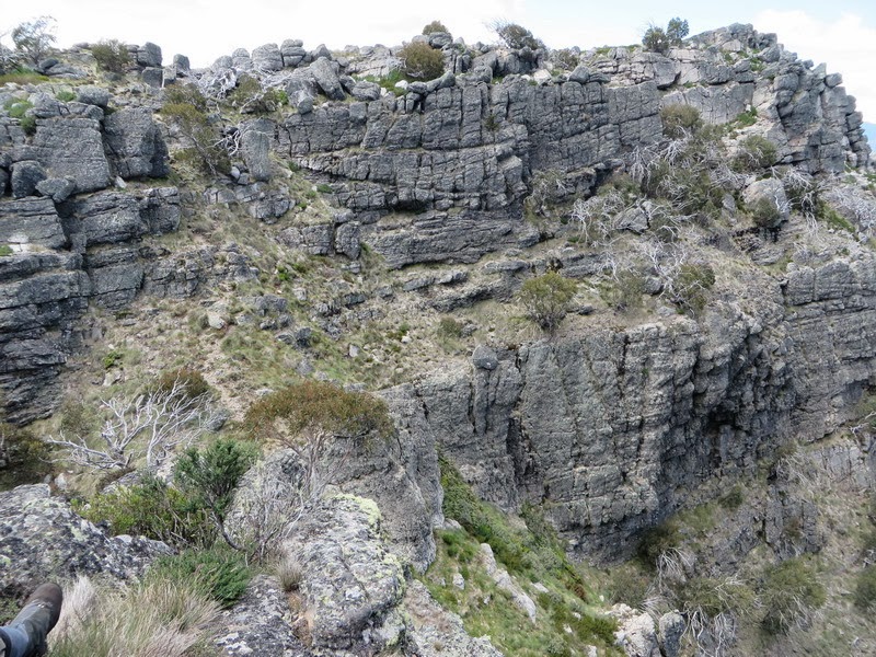 Dzung Nguyen's Blog: Mt Cobbler Walk