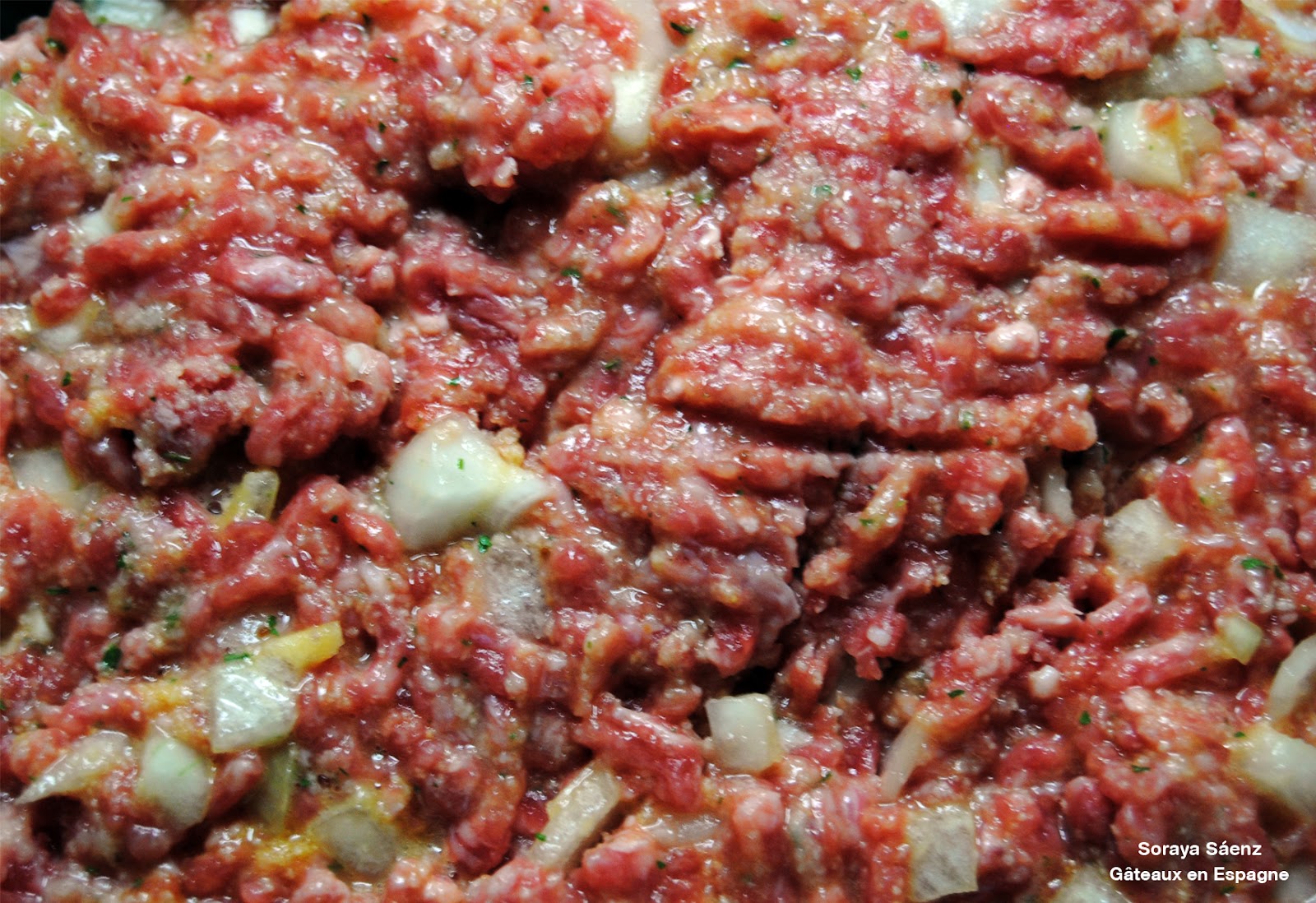 GÂTEAUX EN ESPAGNE: Boulettes de viande hachée avec de la sauce de tomate