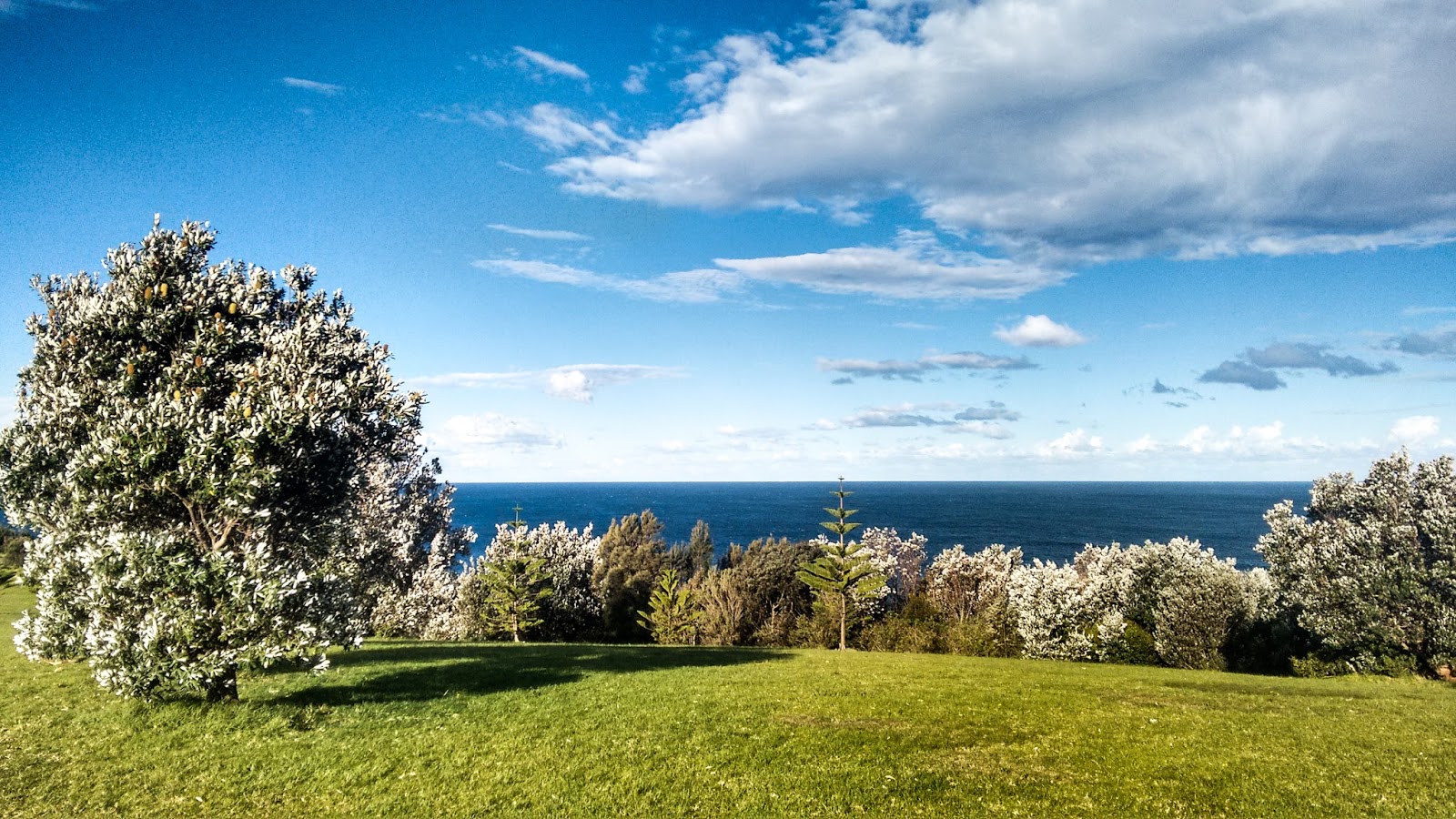 Rolling hills of Gerringong - Destiny's Child