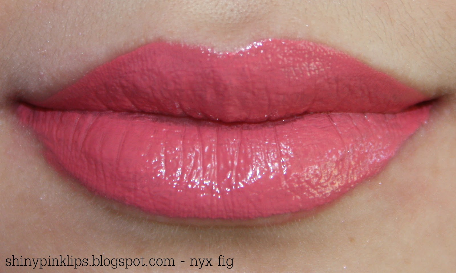 The Blog of Blah Blah by shinypinklips: My Lipstick Collection - Swatches