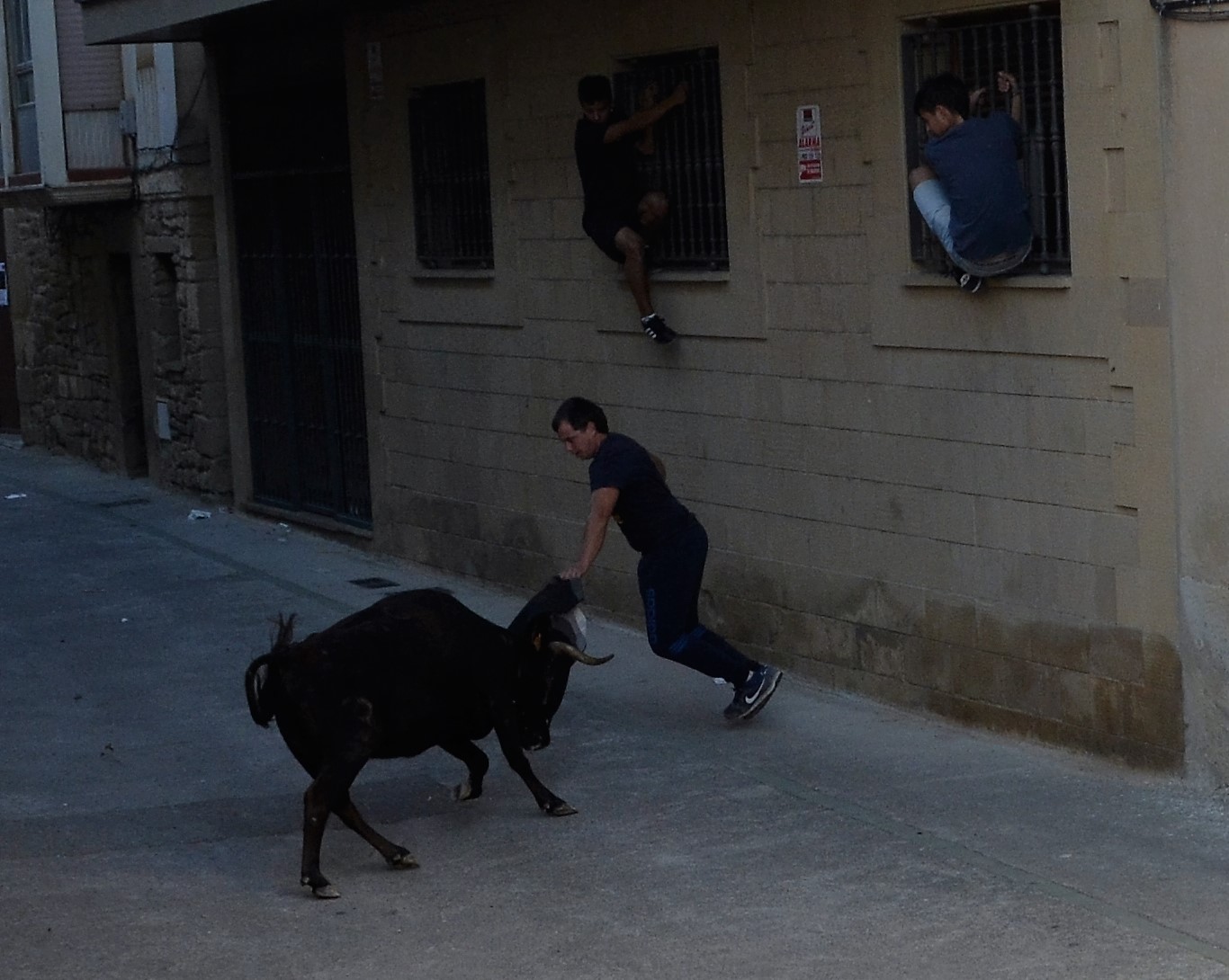 cosasdeantonio: Vacas Hermanas Azcona (3)