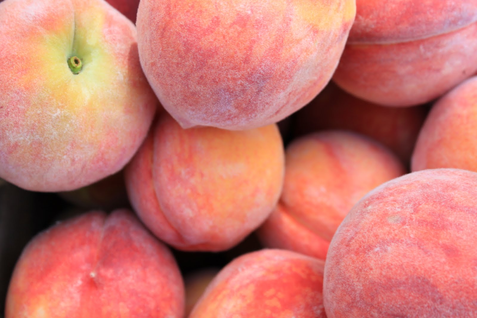 Cheverly Community Market: The most beautiful peaches...available right ...