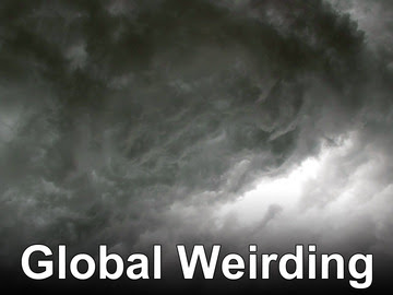 The Disaffected Lib: A Decade of Global Weirding
