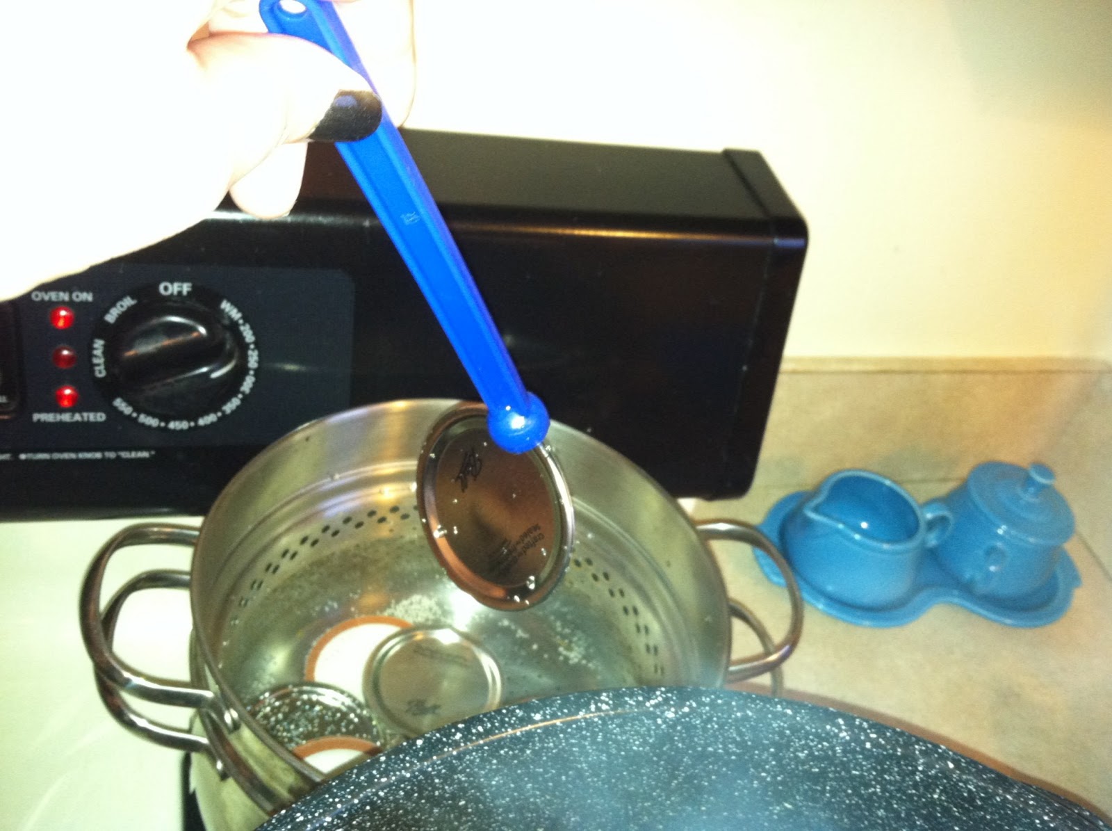 Adventures in Paleo Cooking: Paleo Canning - Gazinta Soup