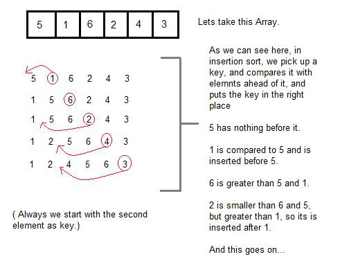 Ds Insertion Sorting