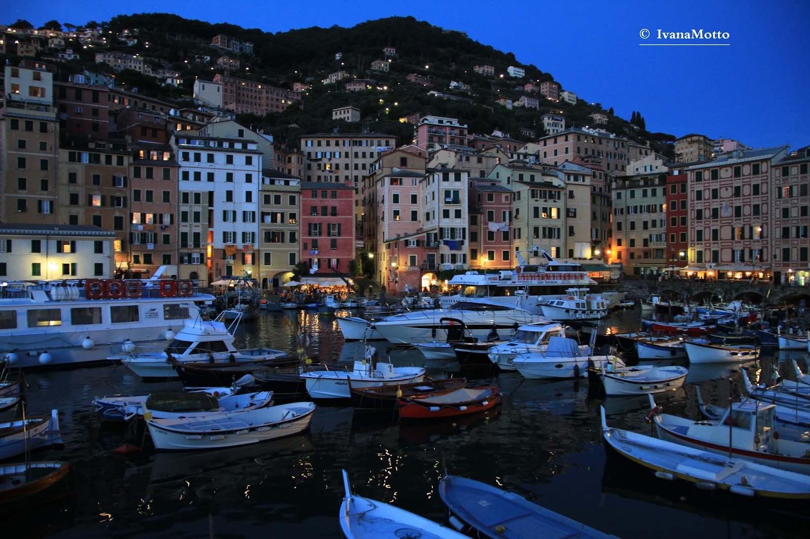 Camogli_Punta Chiappa