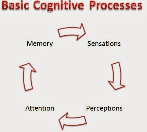 Be students, be teachers: Basic cognitive processes