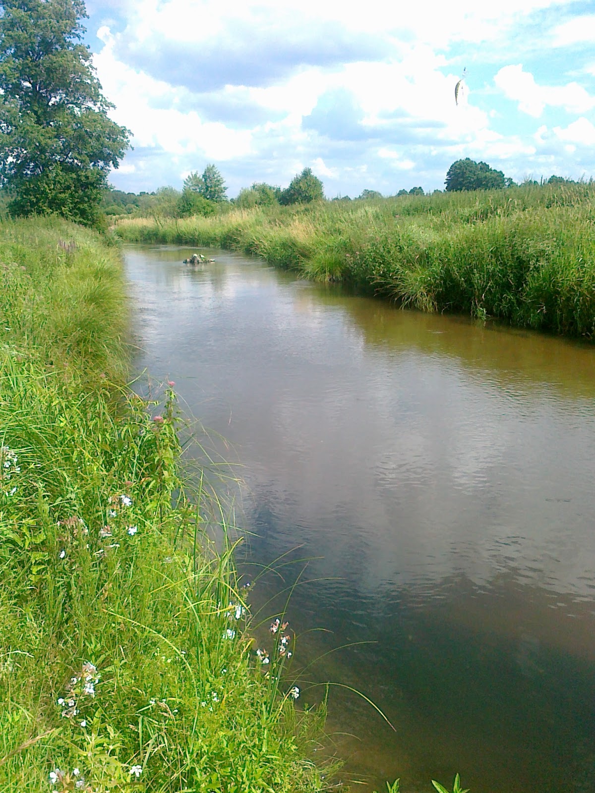 Bystra Woda - River trout: Między Wisłą, a Wieprzem