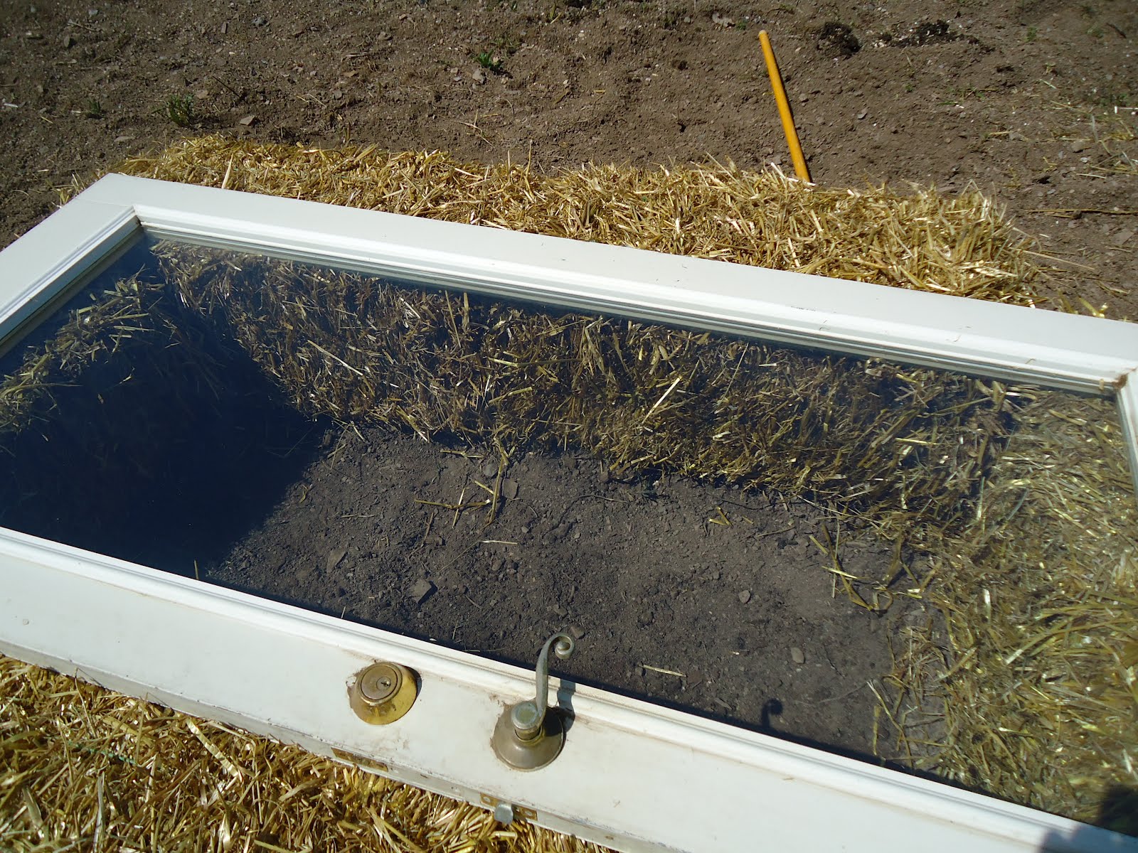 Annies Country Journal: Starting Seeds in a cold frame
