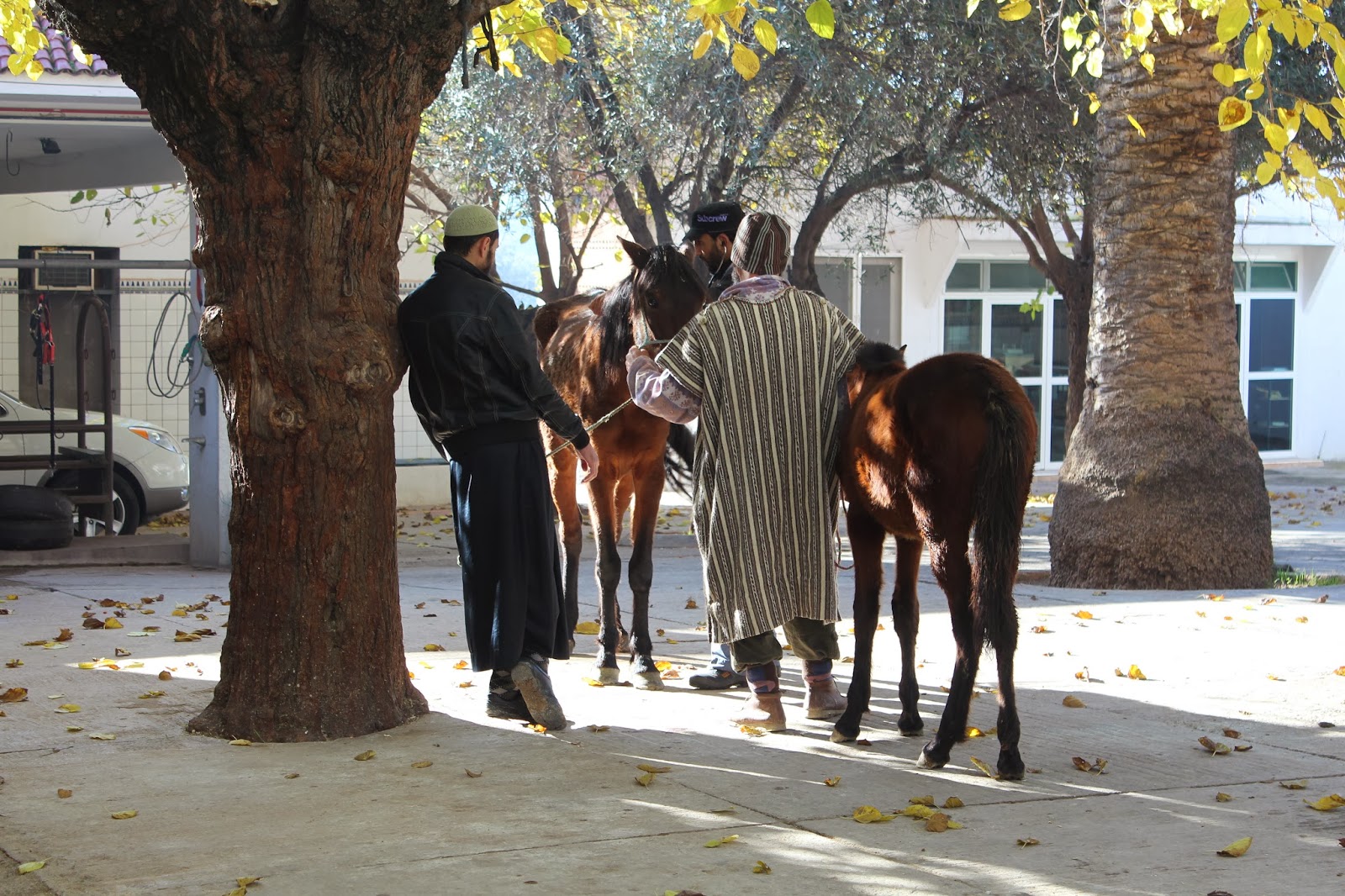 The Ninth Year...: Morocco: The American Fondouk