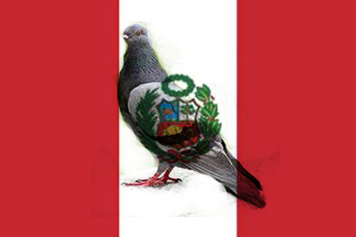 Somos Chilenos: peruanos come palomas