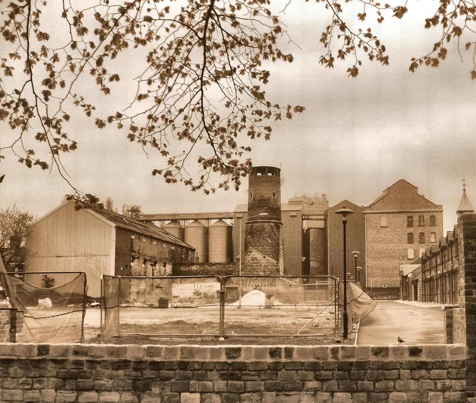 Andrew Lucas Photography