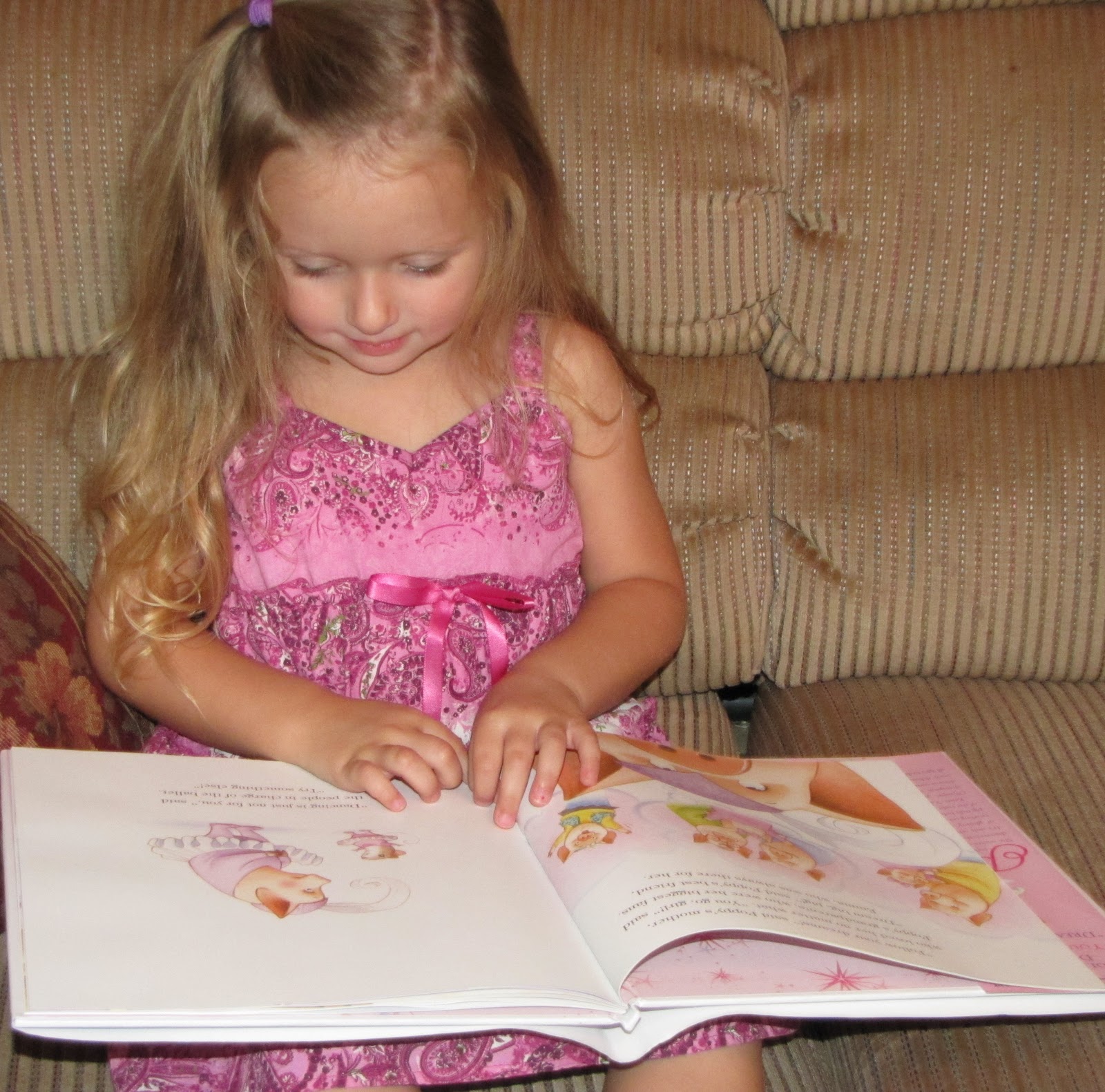 Barbara's Beat: Dream Big Little Pig book review