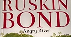 My home in Chennai: The Angry River - Review