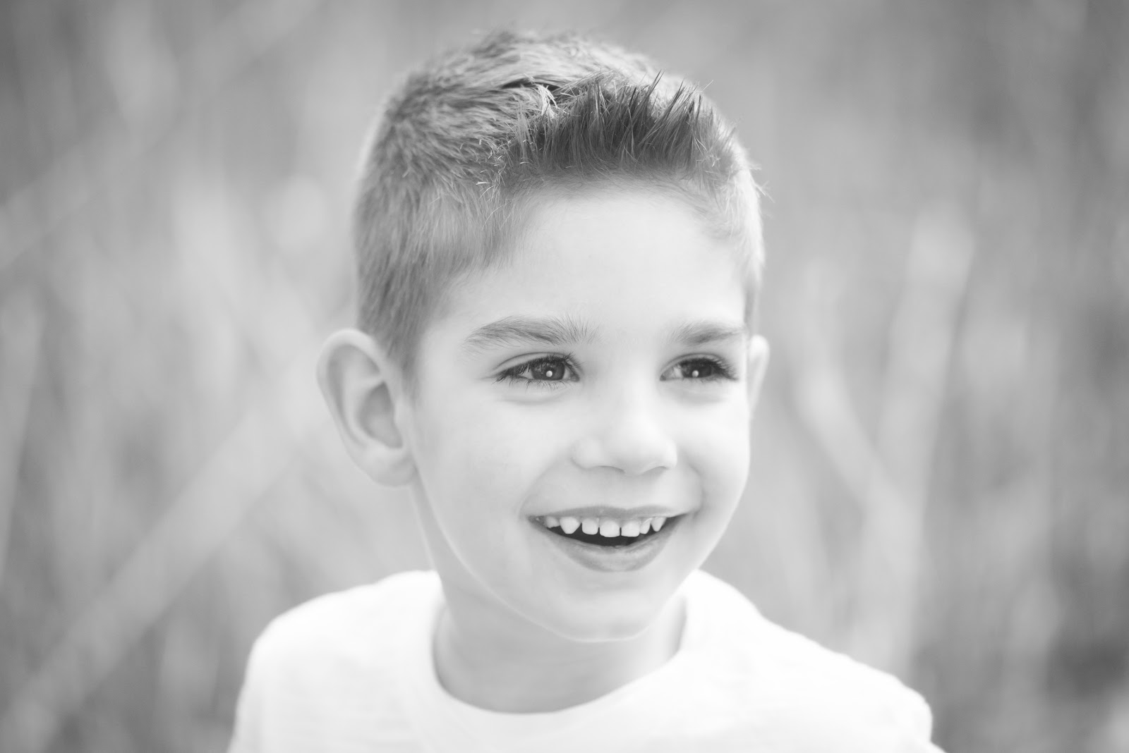 The Monteleone Family