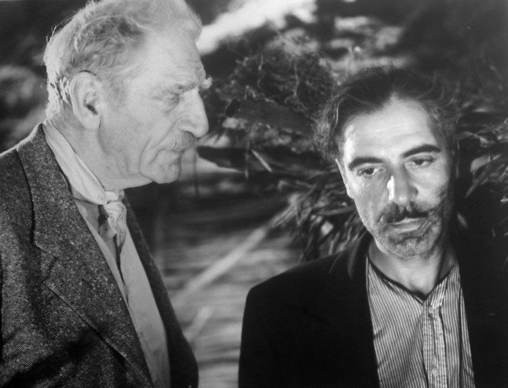 Caftan Woman: For Your Consideration: Joseph Calleia