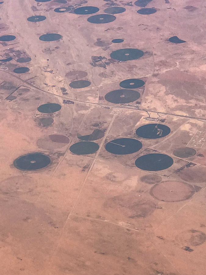 Birds of Saudi Arabia: Pivot Irrigation Fields – Haradh