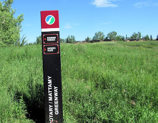 Living Timelessly: Hiking Fish Creek Trails.