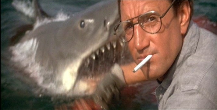 My favorite shot from the movie Jaws, and one of my favorites of all ...