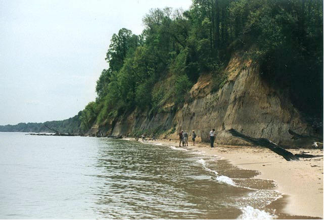 SOGNAPAROLE MAGAZINE: Cercando fossili sulla spiaggia di Scientists ...