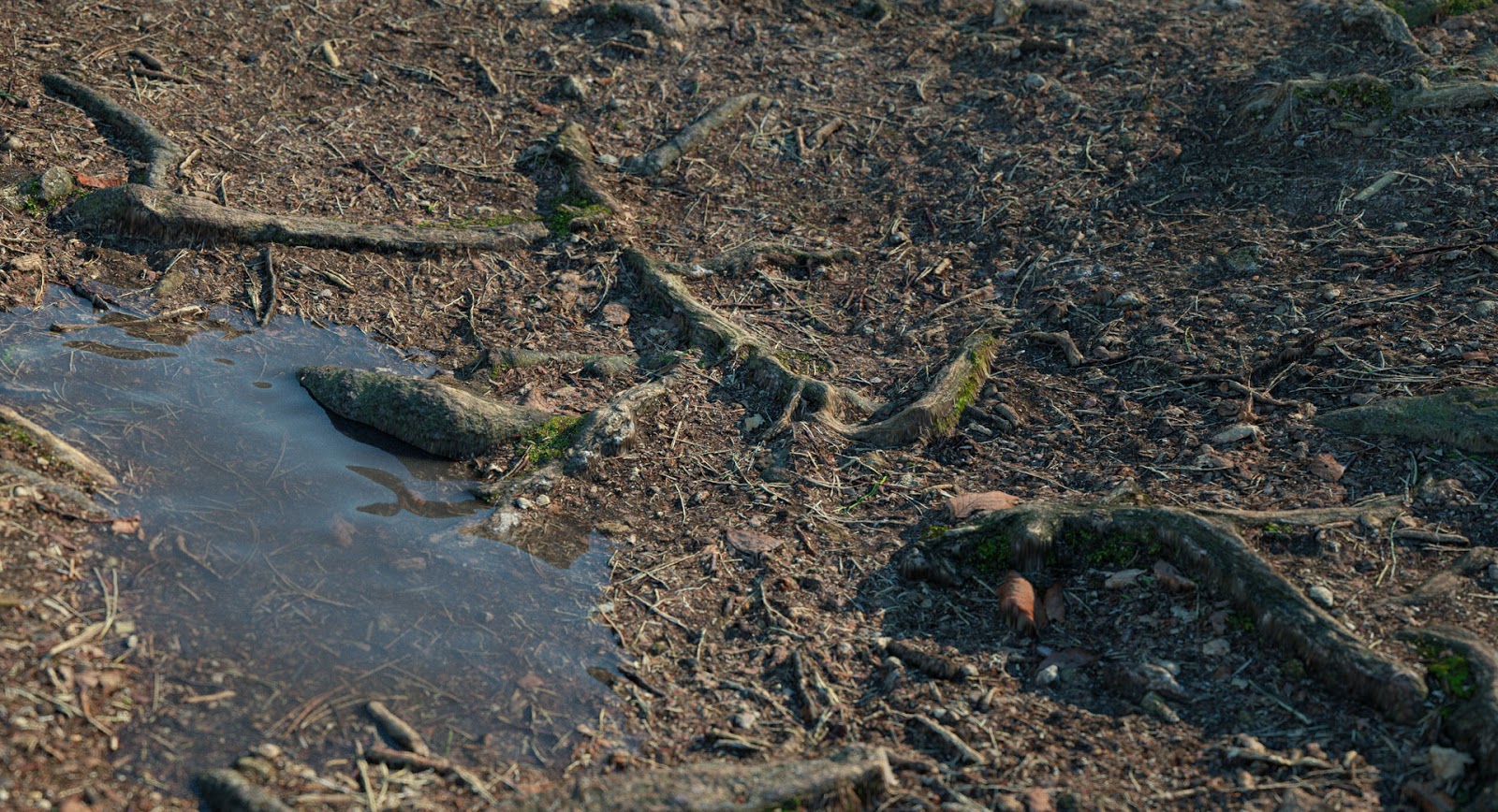 RDT Collection 3 is now available | Computer Graphics Daily News