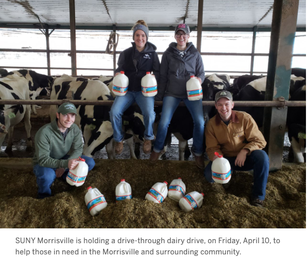 Wounded Times: Farmers dump crops durning pandemic shut down...families ...